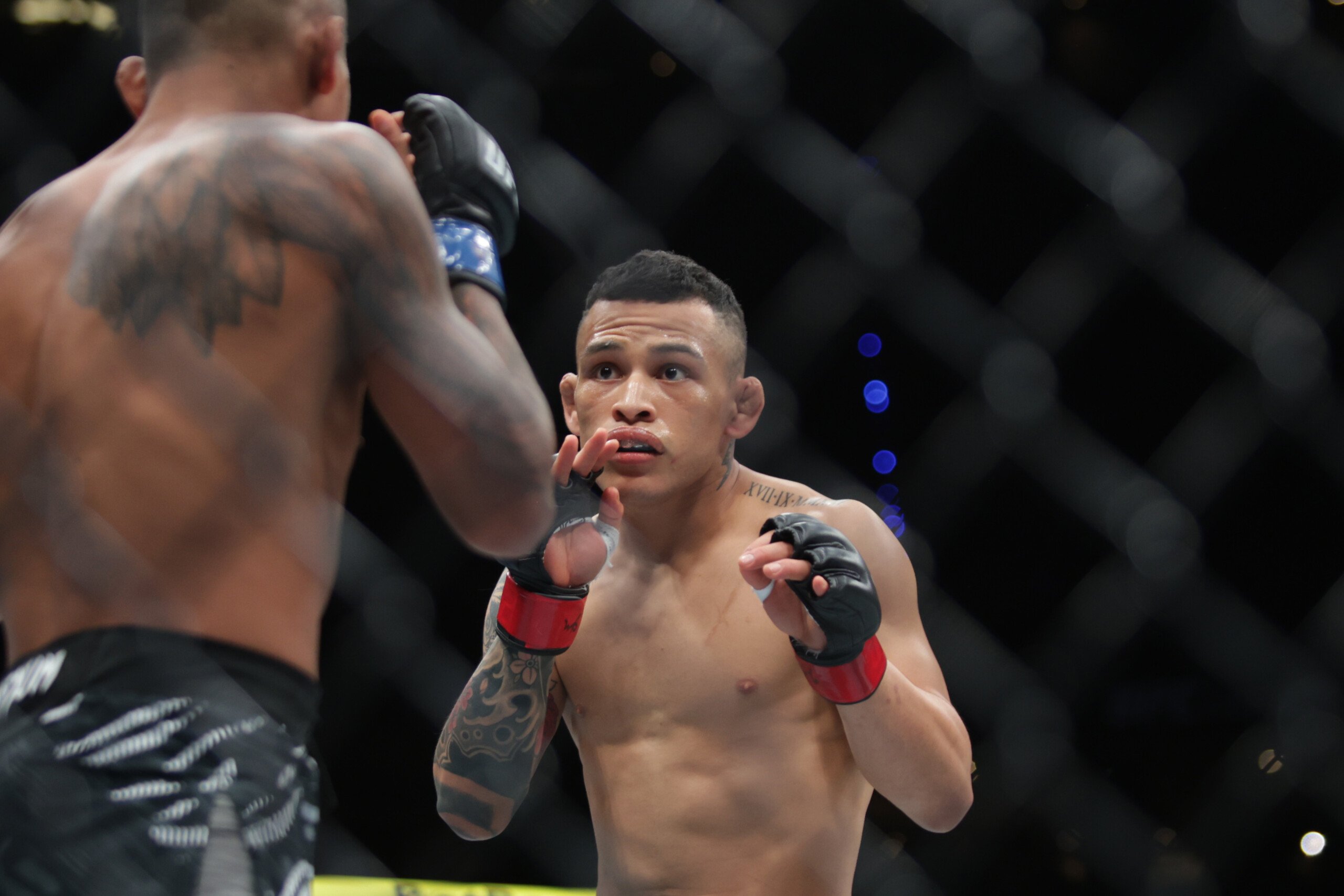 Zack Snyder tekee UFC-elokuvan – leffassa seurataan nousevaa ...