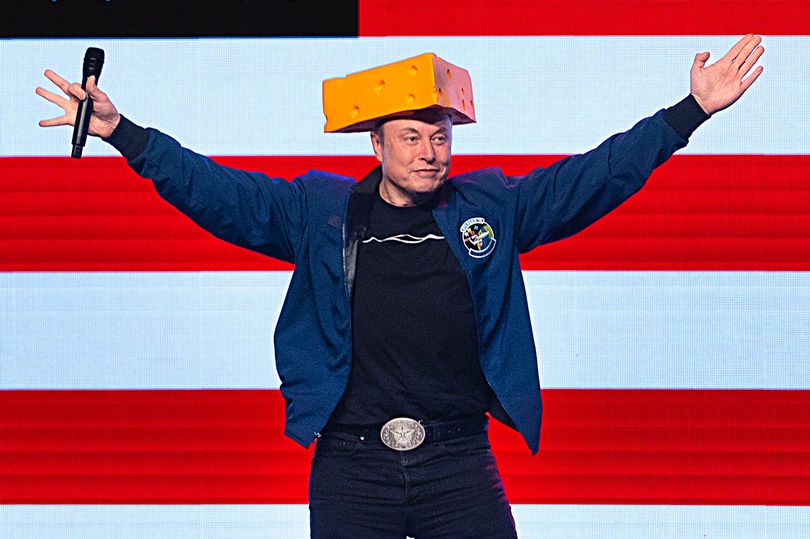 Elon Musk gets surprise peace offer from Tim Walz with shocking catch