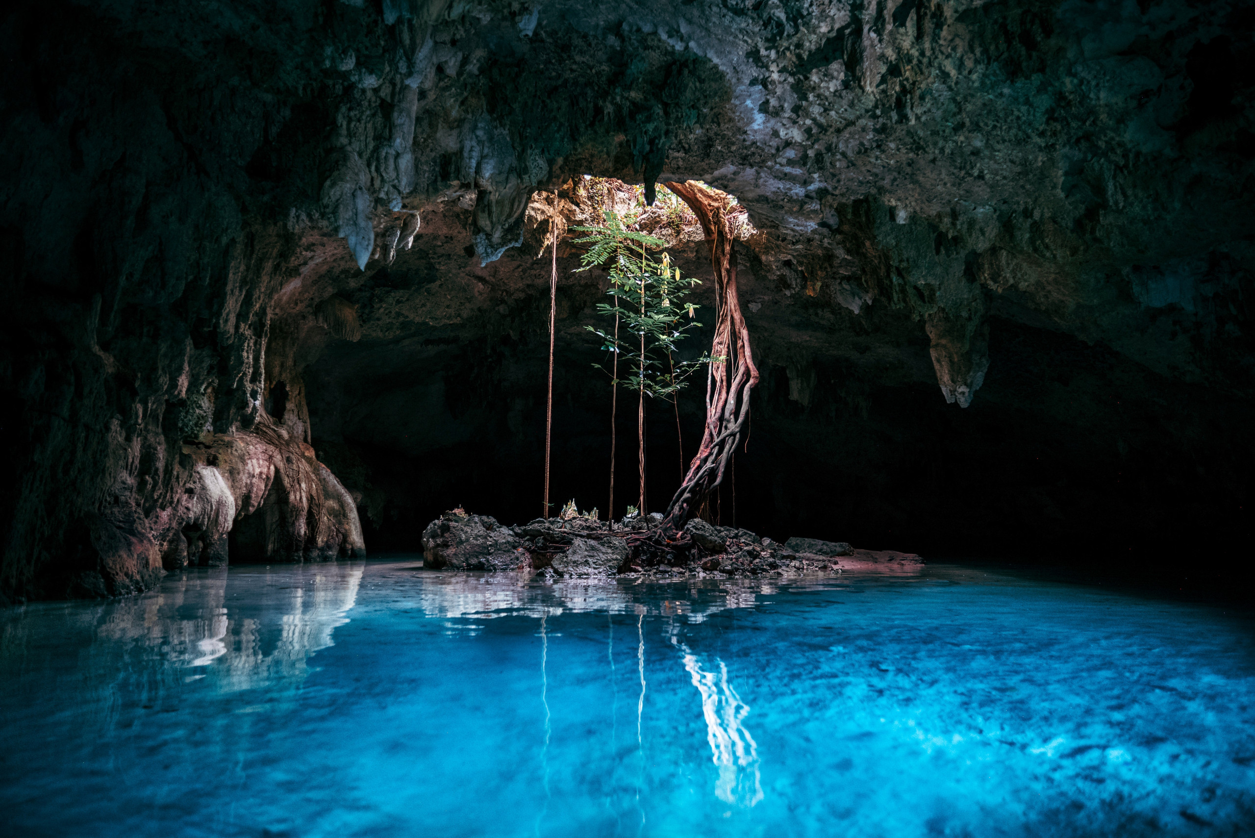 Dive deeper into the ancient sinkholes known as cenotes