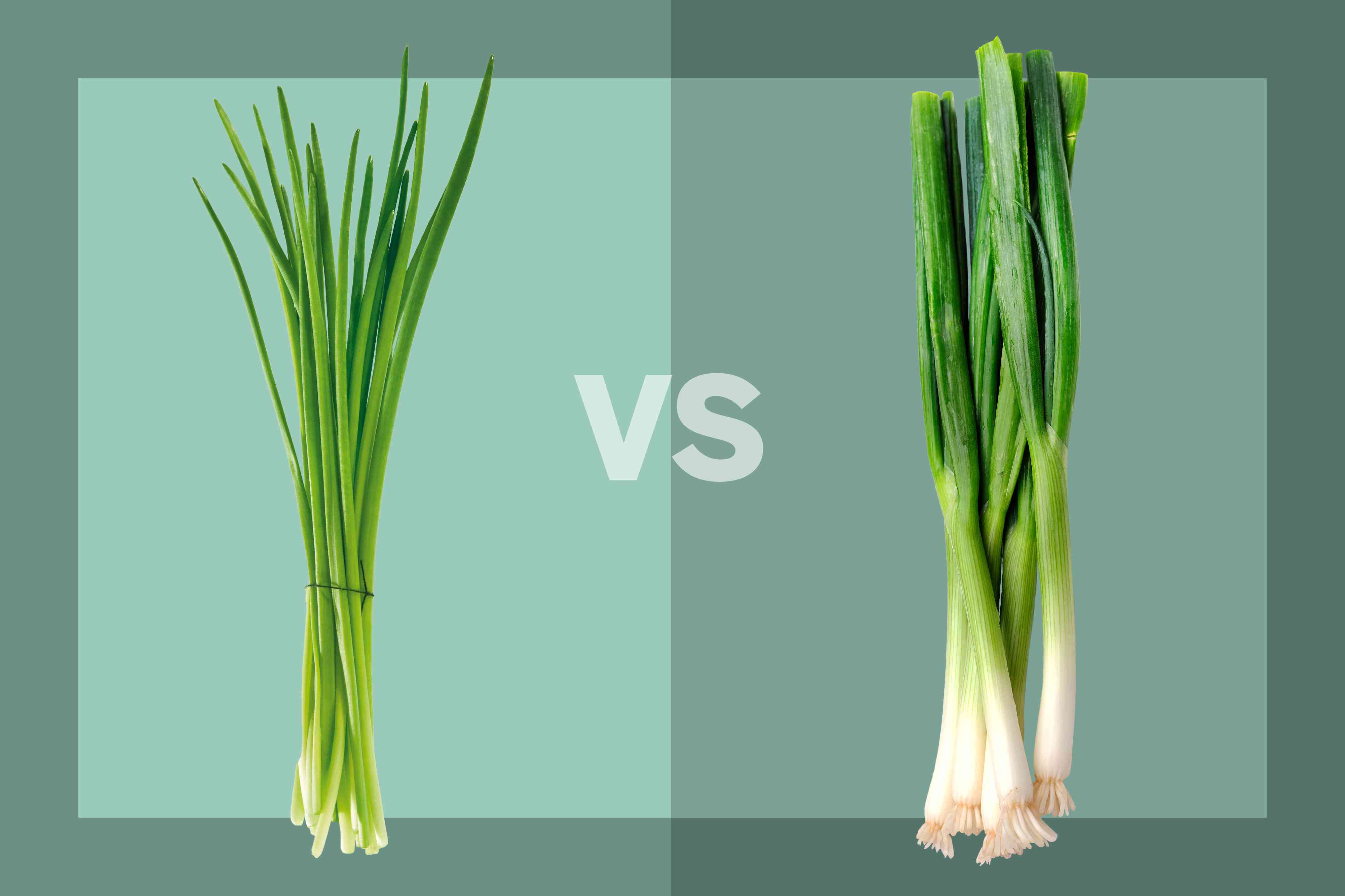 Chives vs. Green Onions: What’s the Difference?