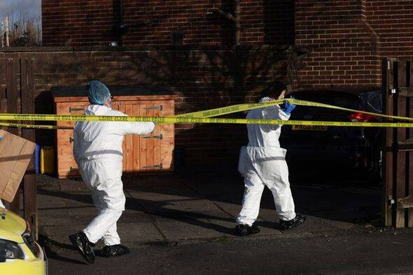 Man, 84, savaged by XL Bully dies in hospital after dog attack