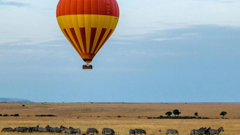 Safari so good: uncover Africa's best wildlife destinations this Africa ...