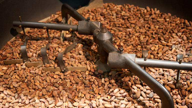 The Science Behind Why Dark Chocolate Is So Bitter