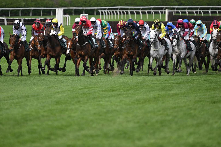 The Grand National runners bookies are running scared of in 2025