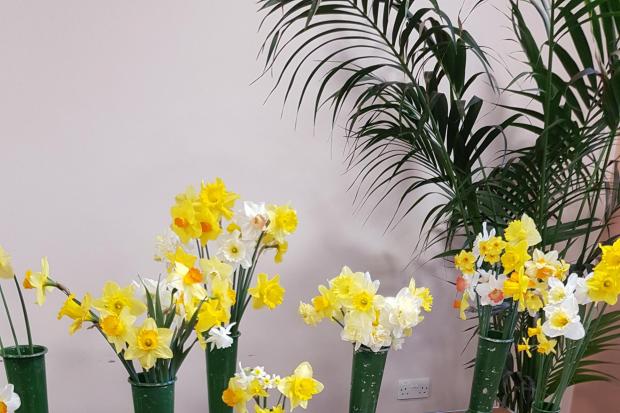 Best in Show winner at horticultural society’s spring show