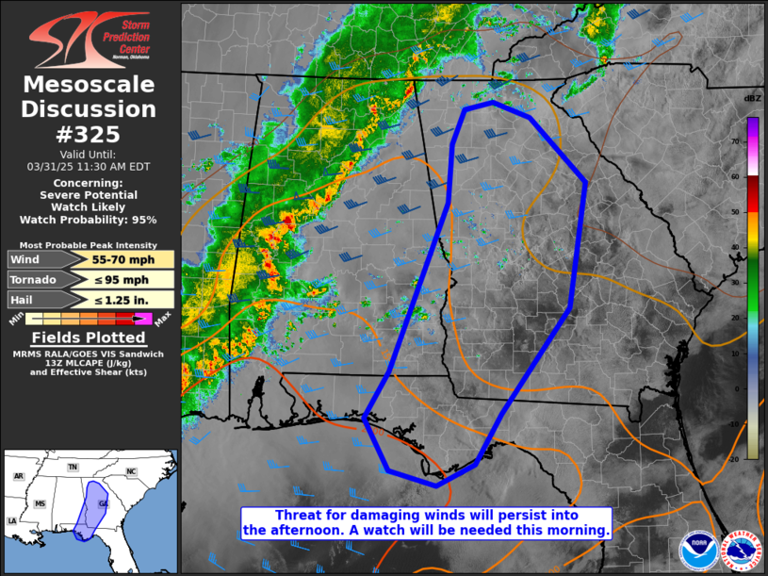 Tallahassee area under severe thunderstorm warning; 60 mph winds, pea ...
