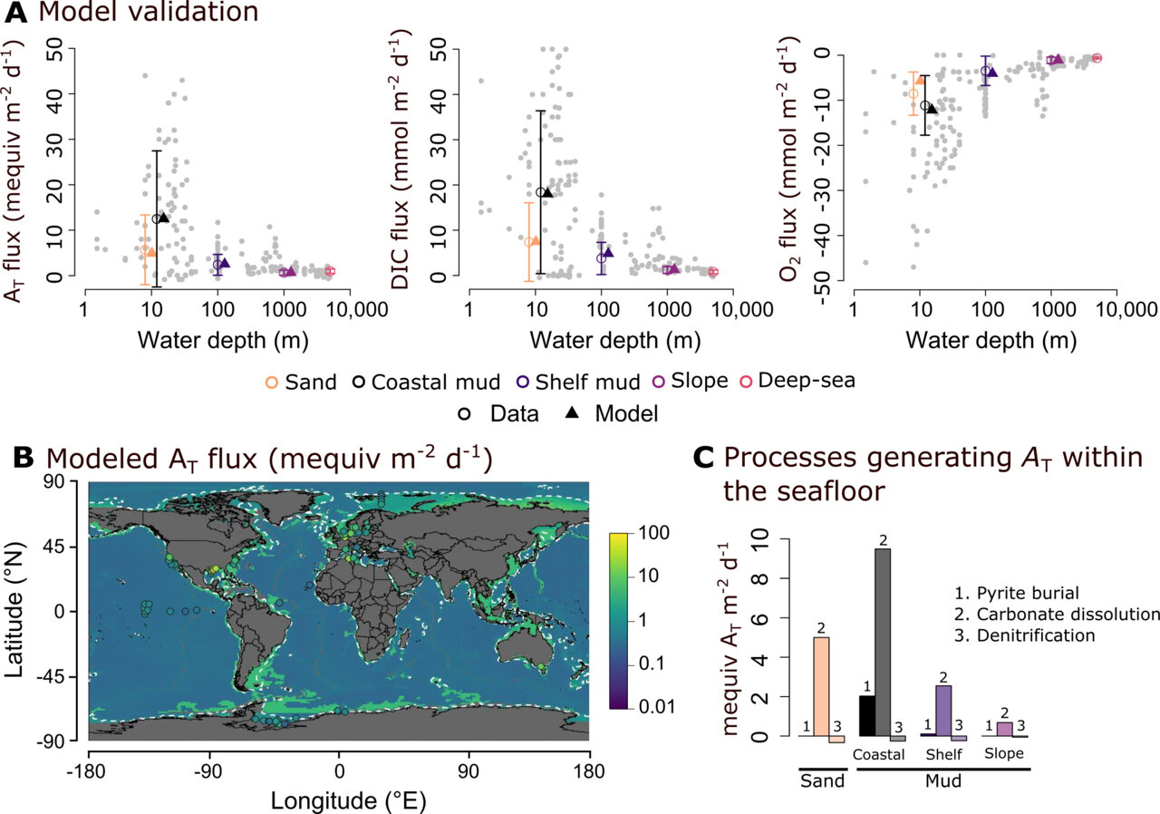 Simulation shows trawling and dredging impact the processes behind ...