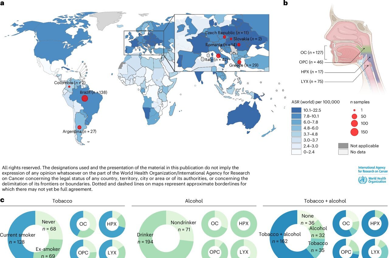 How smoking and drinking alcohol causes cancer: Scientists uncover ...