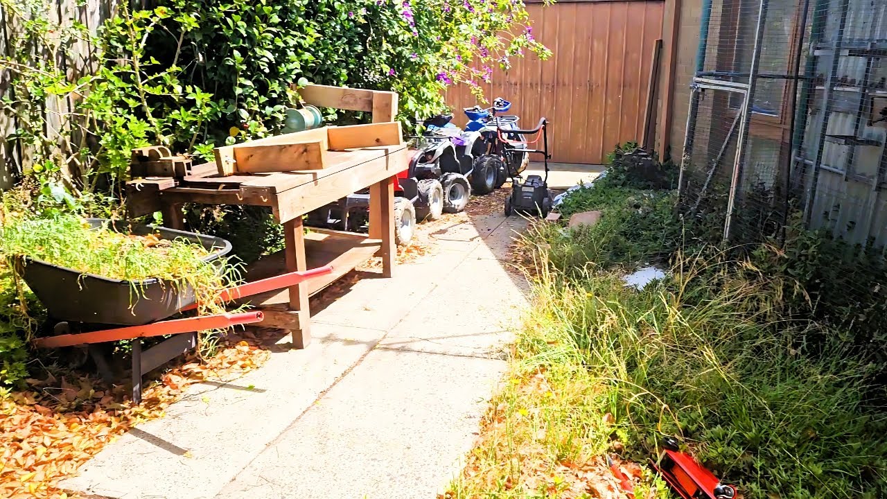 Hoarders Garden Nightmare - Watch this Place Transform!