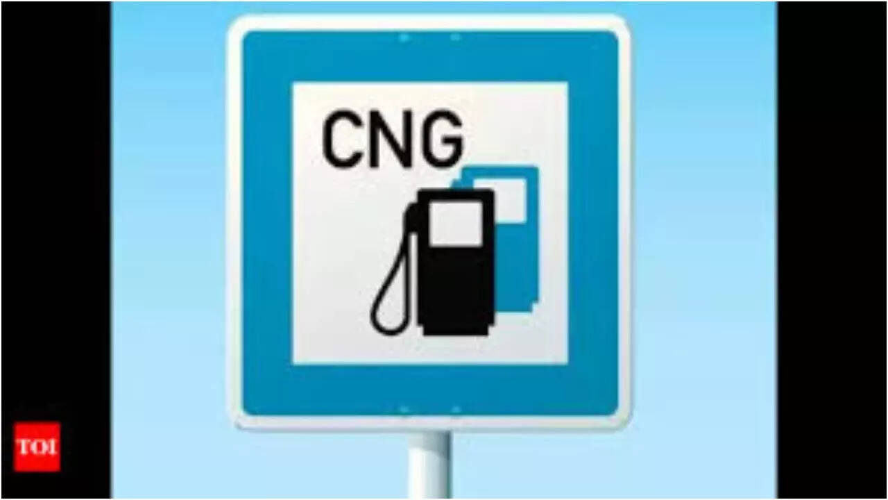 Natural gas to cost more as govt raises price cap after 2 years, jury ...