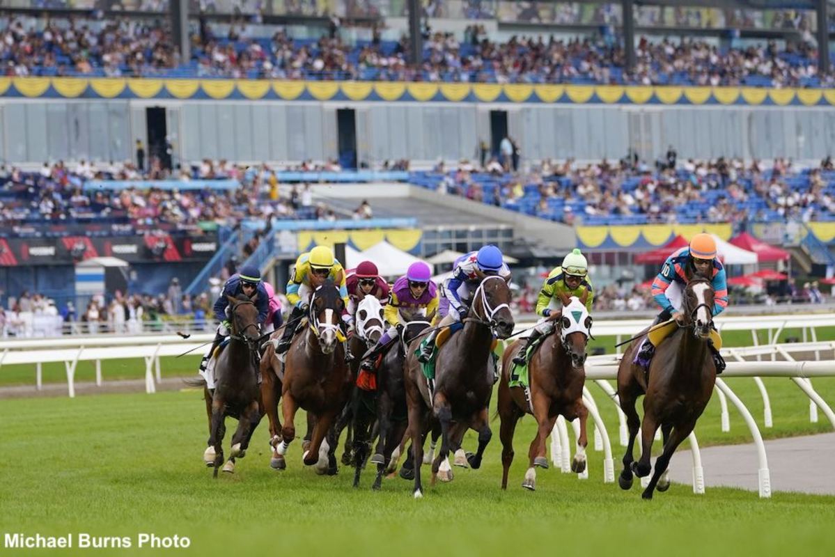 Woodbine To Renovate E.P. Taylor Turf Course After King's Plate