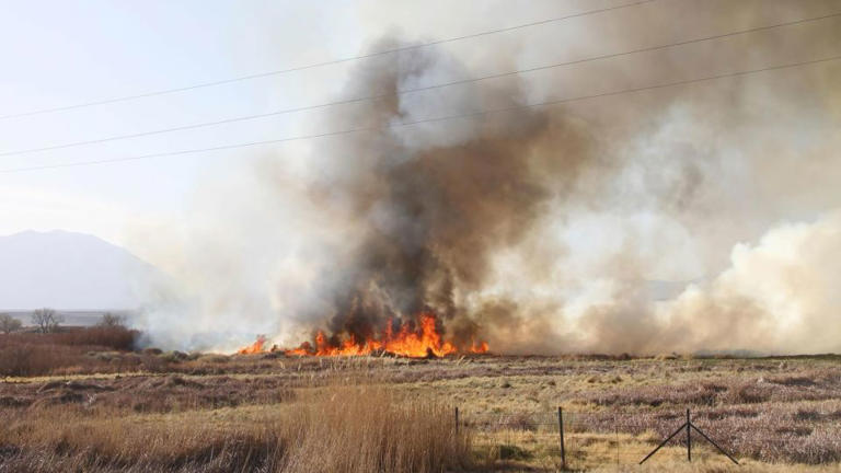 Evacuations ordered as winds pose challenges for firefighters battling ...