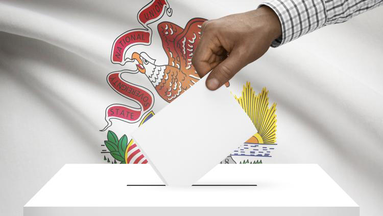 Illinois consolidated election 2025: Key races, ballot measures and ...