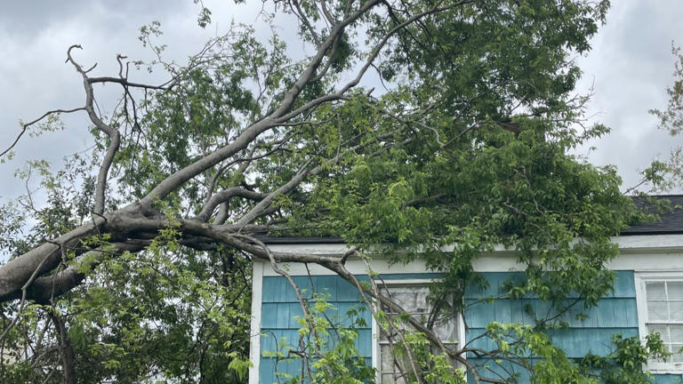 Storm damage reports across the CSRA