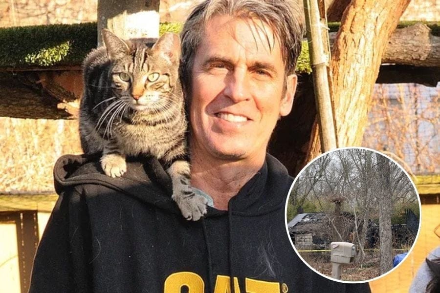 Long Islanders rally to help hundreds of cats who survived deadly ...