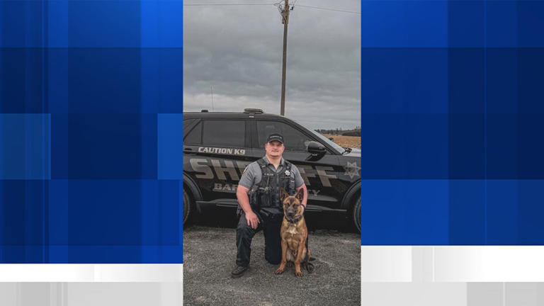 Barron County Sheriff’s Department welcomes new K9