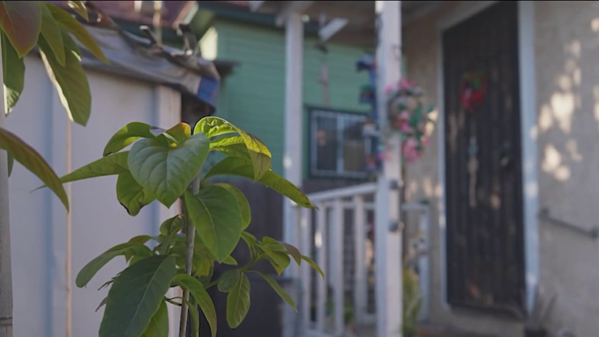 What happens to people's assets if they are deported?