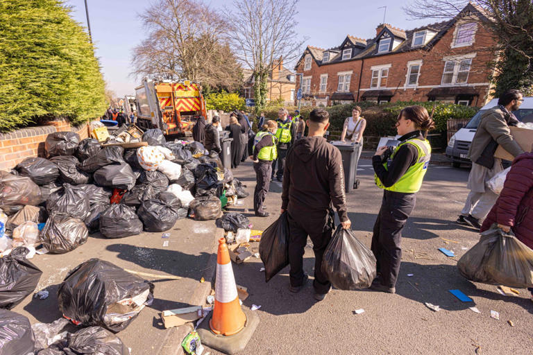 This city is so full of rubbish and 'cat-sized rats' it's declared a ...