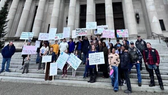 Rallygoers in Olympia advocate for legislation to protect domestic ...