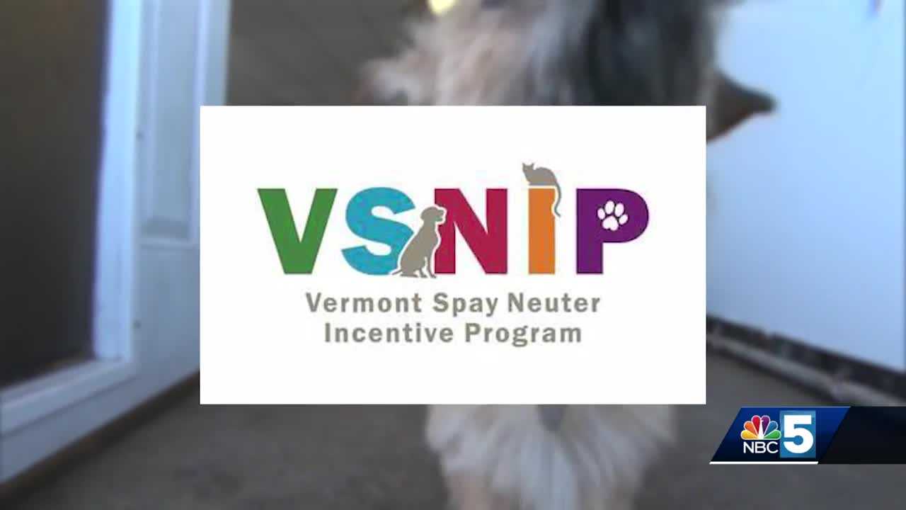 Vermont's Spay Neuter Incentive Program faces financial struggles