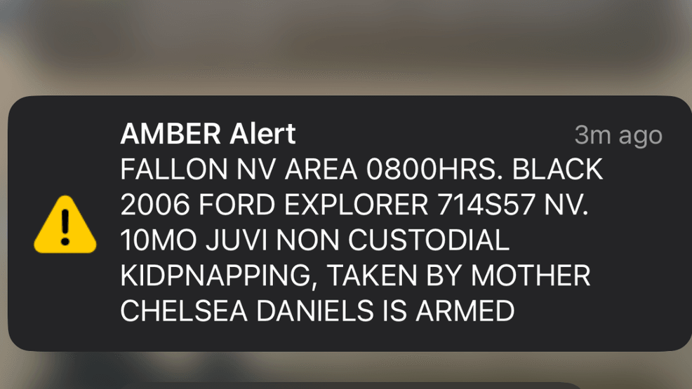 Armed mother arrested after AMBER Alert leads to safe recovery of 10 ...