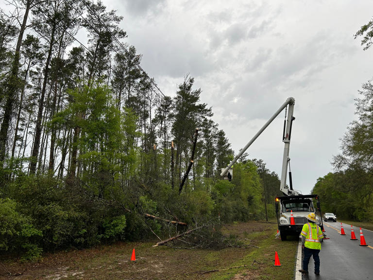 PHOTOS: Severe weather downs trees, snags power lines Monday in Leon County