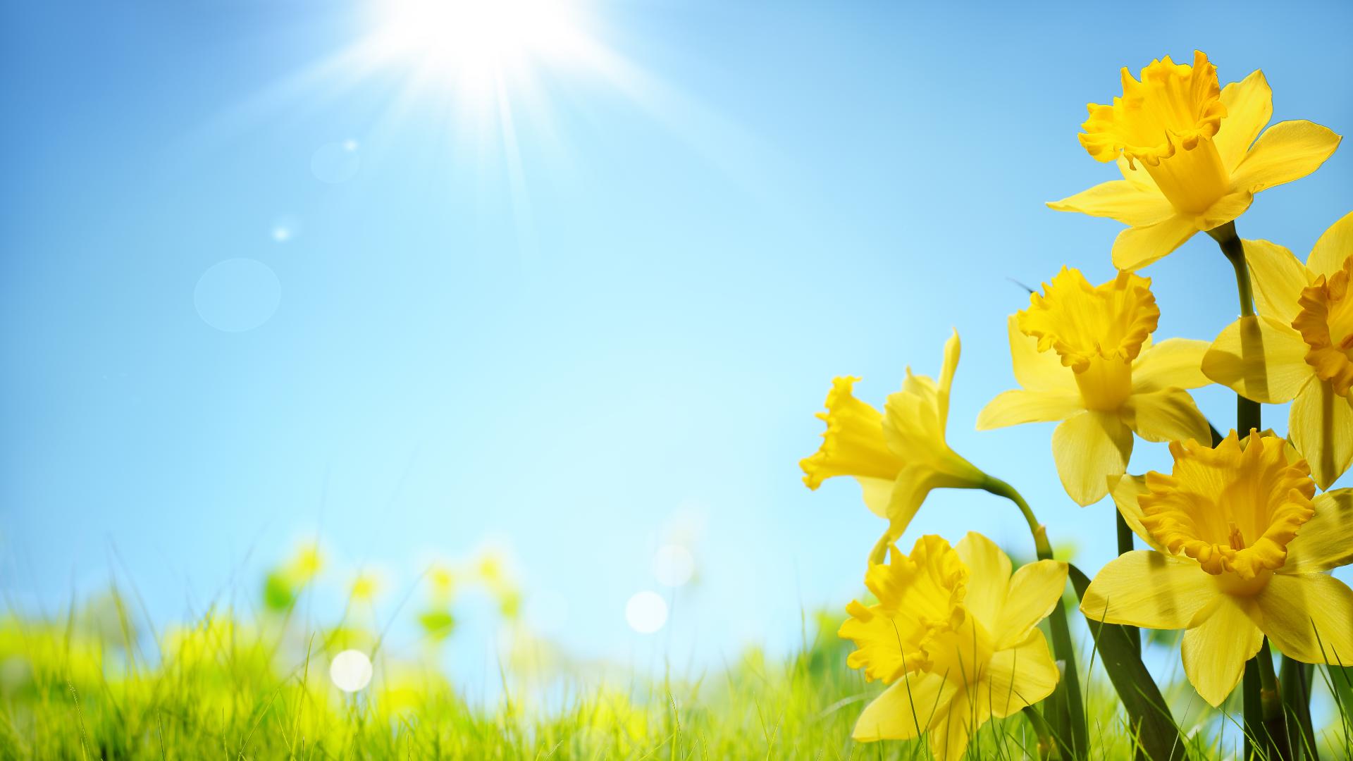 Tips to deal with spring anxiety