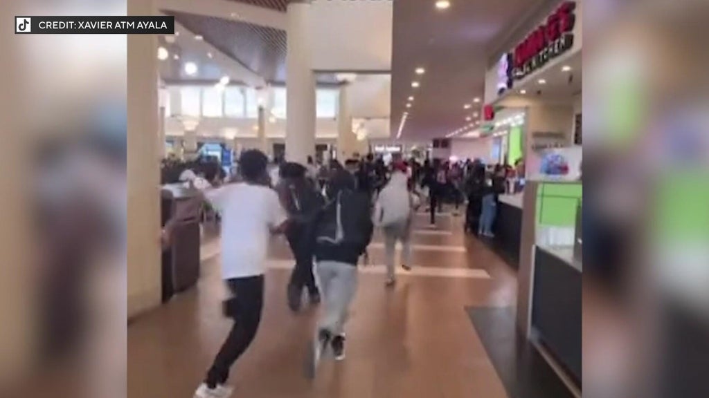 Video shows mayhem at New York City mall as teens startle shoppers