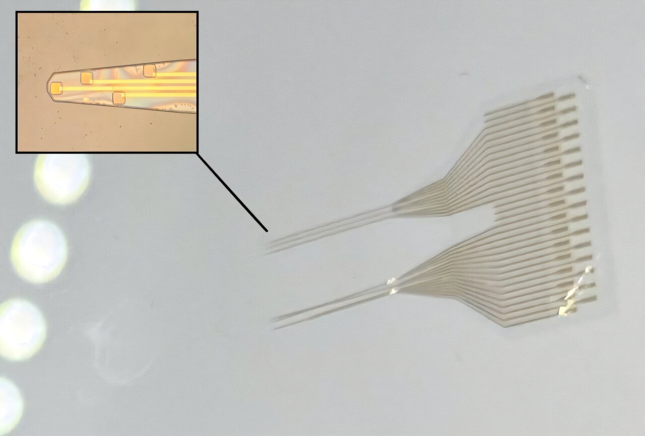 Chance discovery improves stability of bioelectronic material used in ...