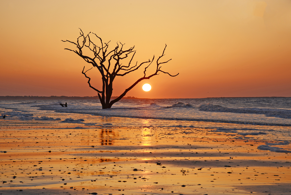 The Untouched Beach at This Former South Carolina Plantation Has ...