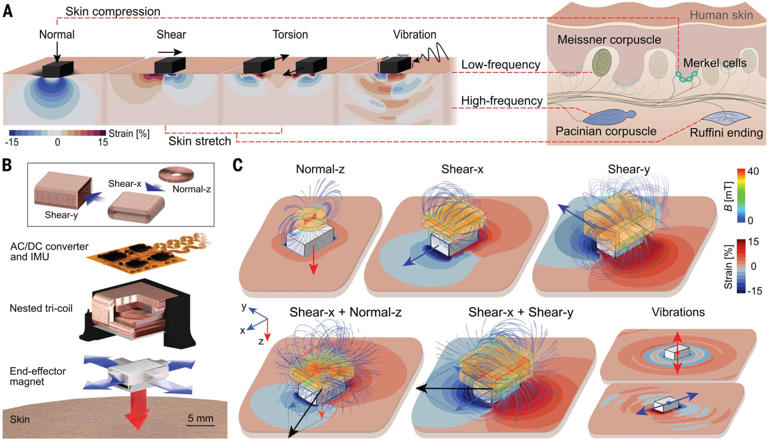 Cutting-edge wearable device mimics the complexity of human touch