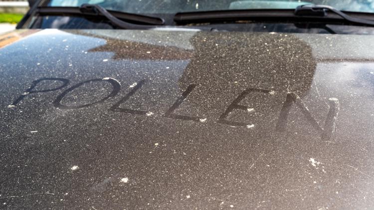 Weather IQ: Why is pollen so bad in the Carolinas?