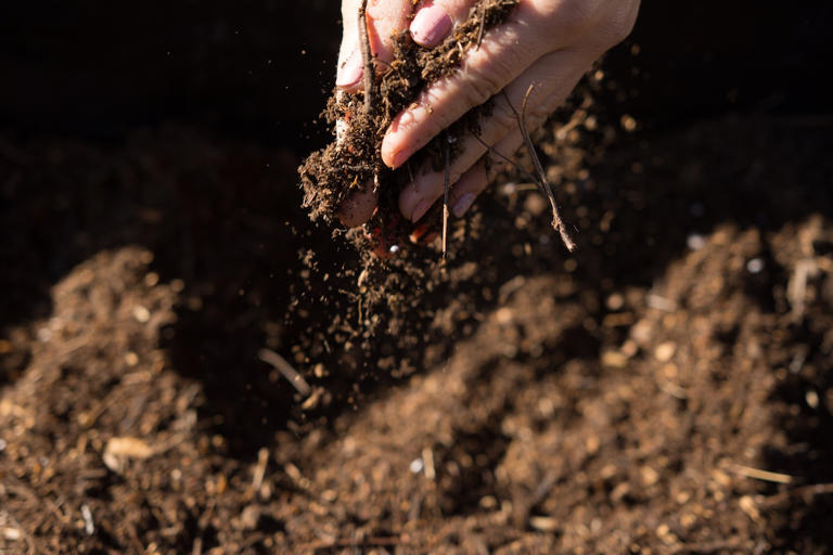 4 Types of Soil Every Gardener Should Know