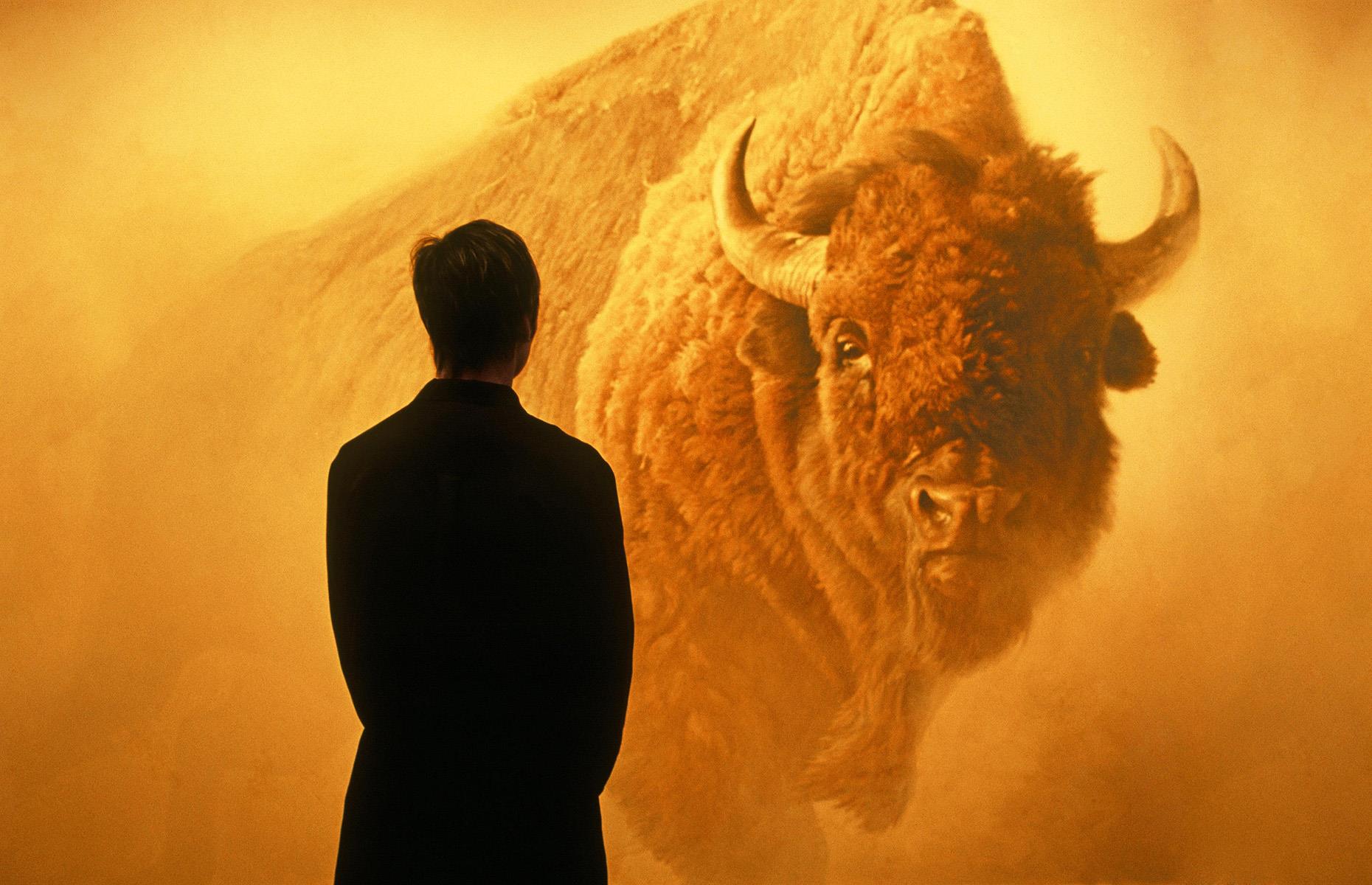 America's most eccentric attractions, ranked