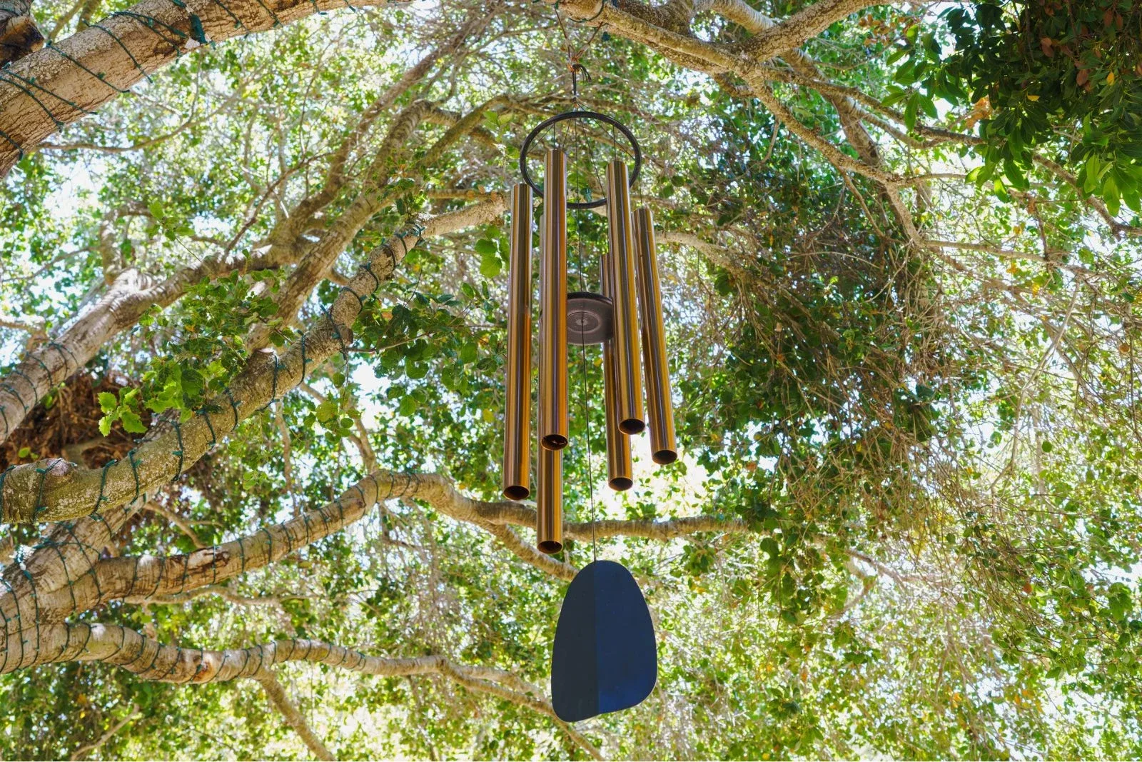 There's More Behind Wind Chimes Than Their Delicate Sound