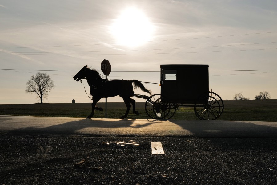 Police investigating hit-and-run involving horse and buggy