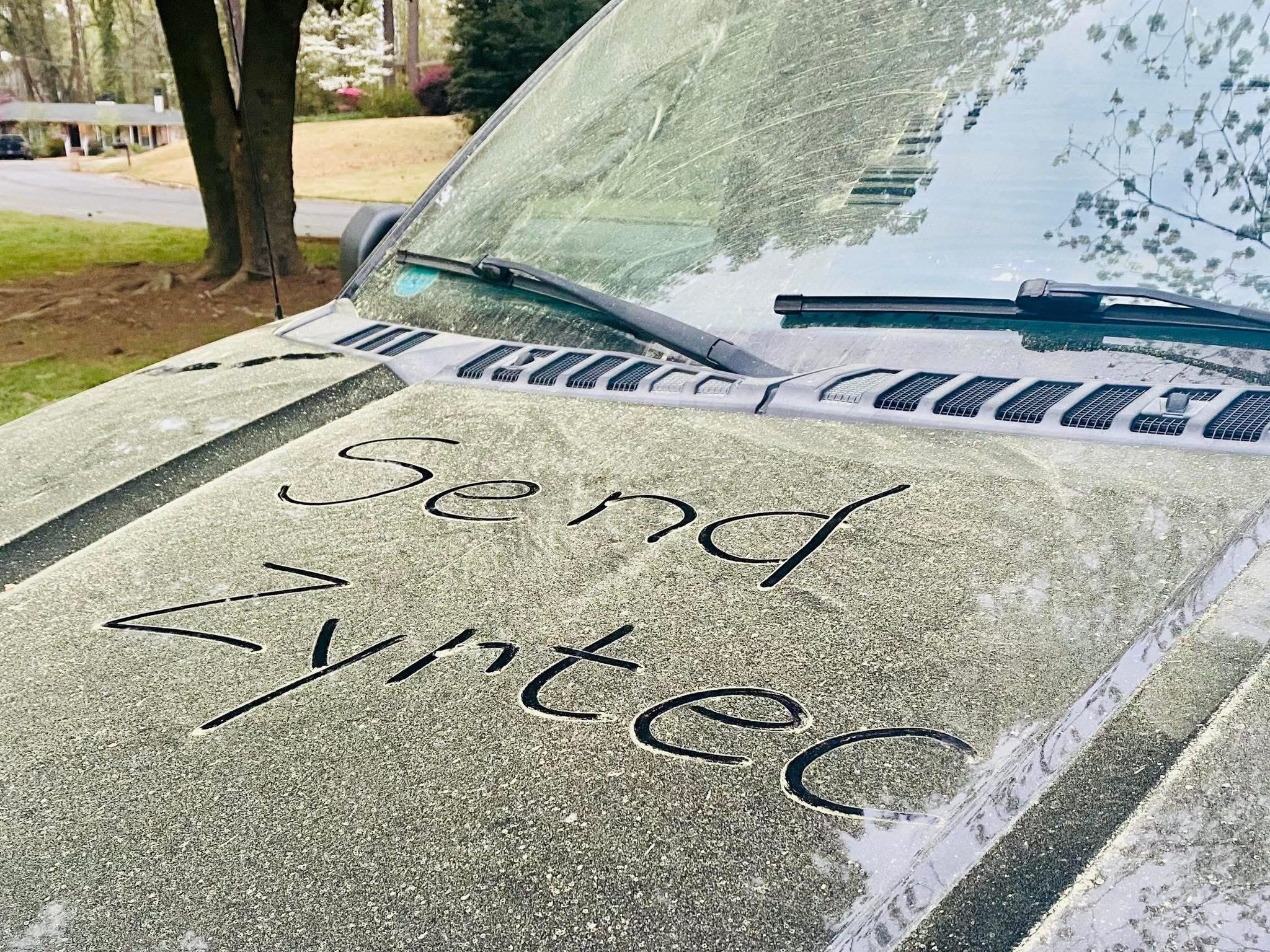 ‘ATLANTA IS YELLOW:’ Allergy sufferers wheeze at highest-ever pollen count