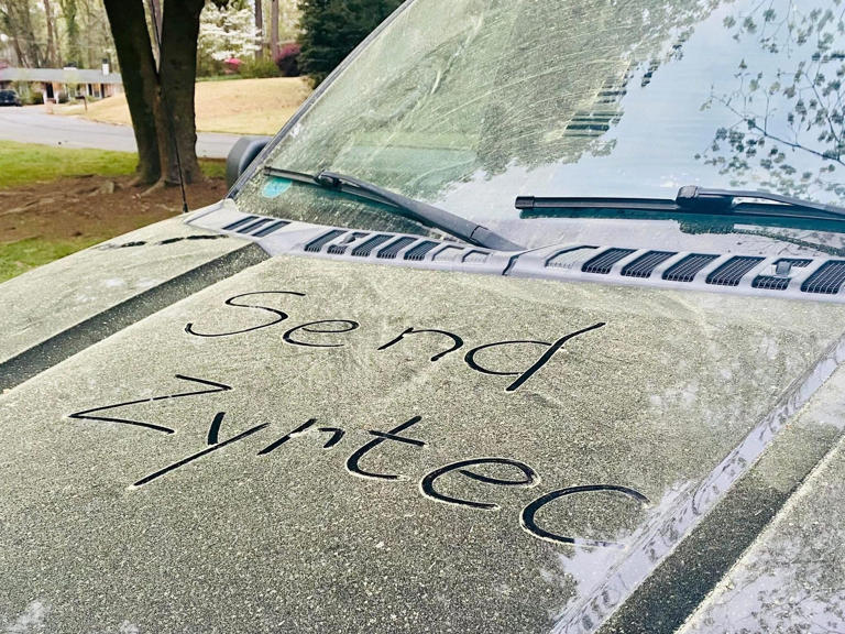 ‘ATLANTA IS YELLOW:’ Allergy sufferers wheeze at highest-ever pollen count