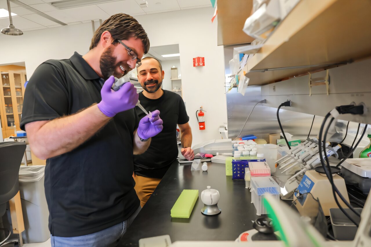 Dual protein tagging process could lead to new treatments for immune ...