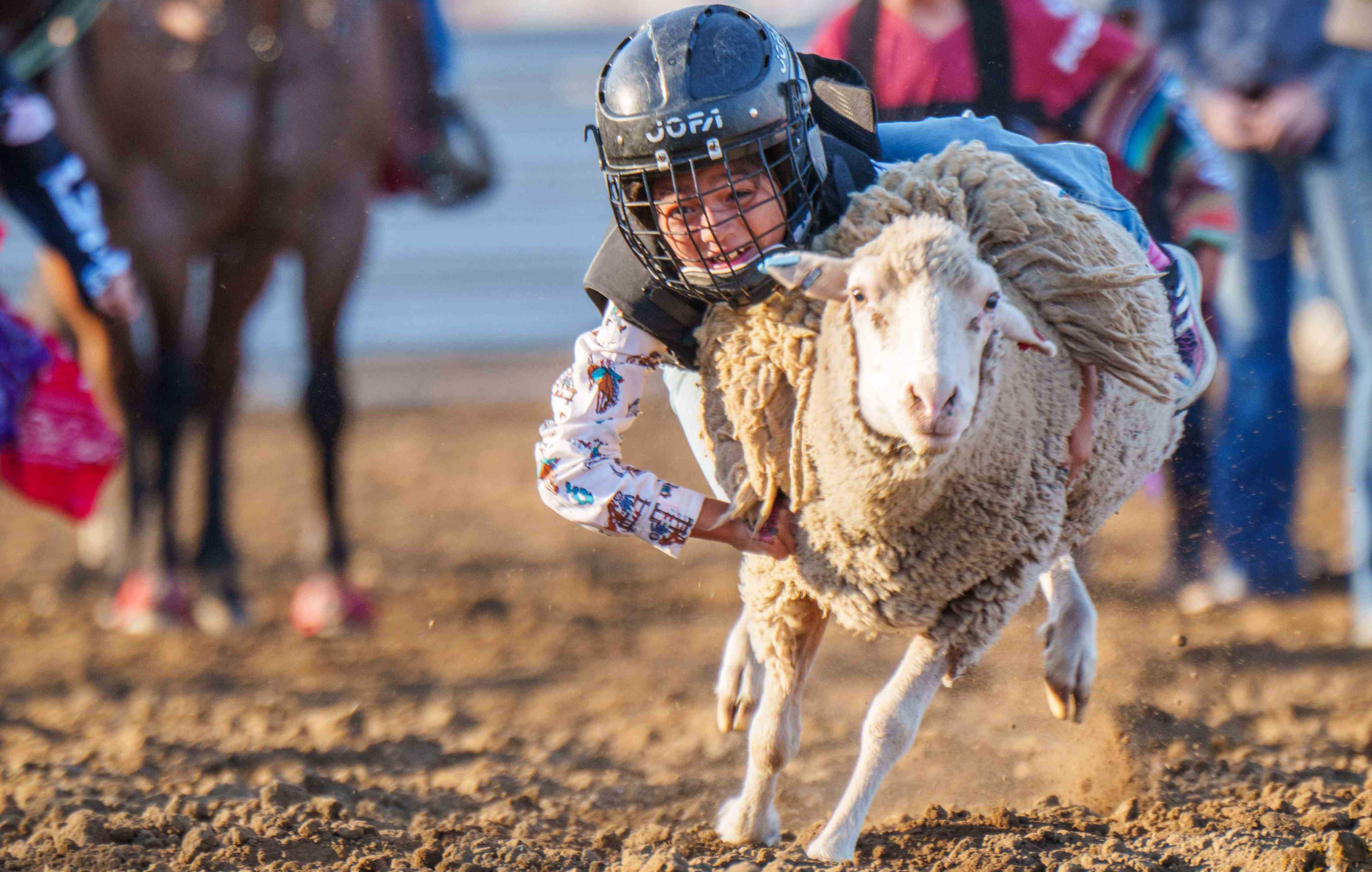 California Rodeo Salinas mutton busting sign-ups open