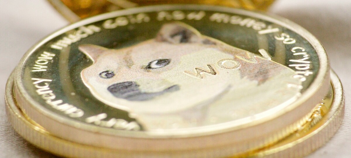 Musk Touts DOGE on Fox News