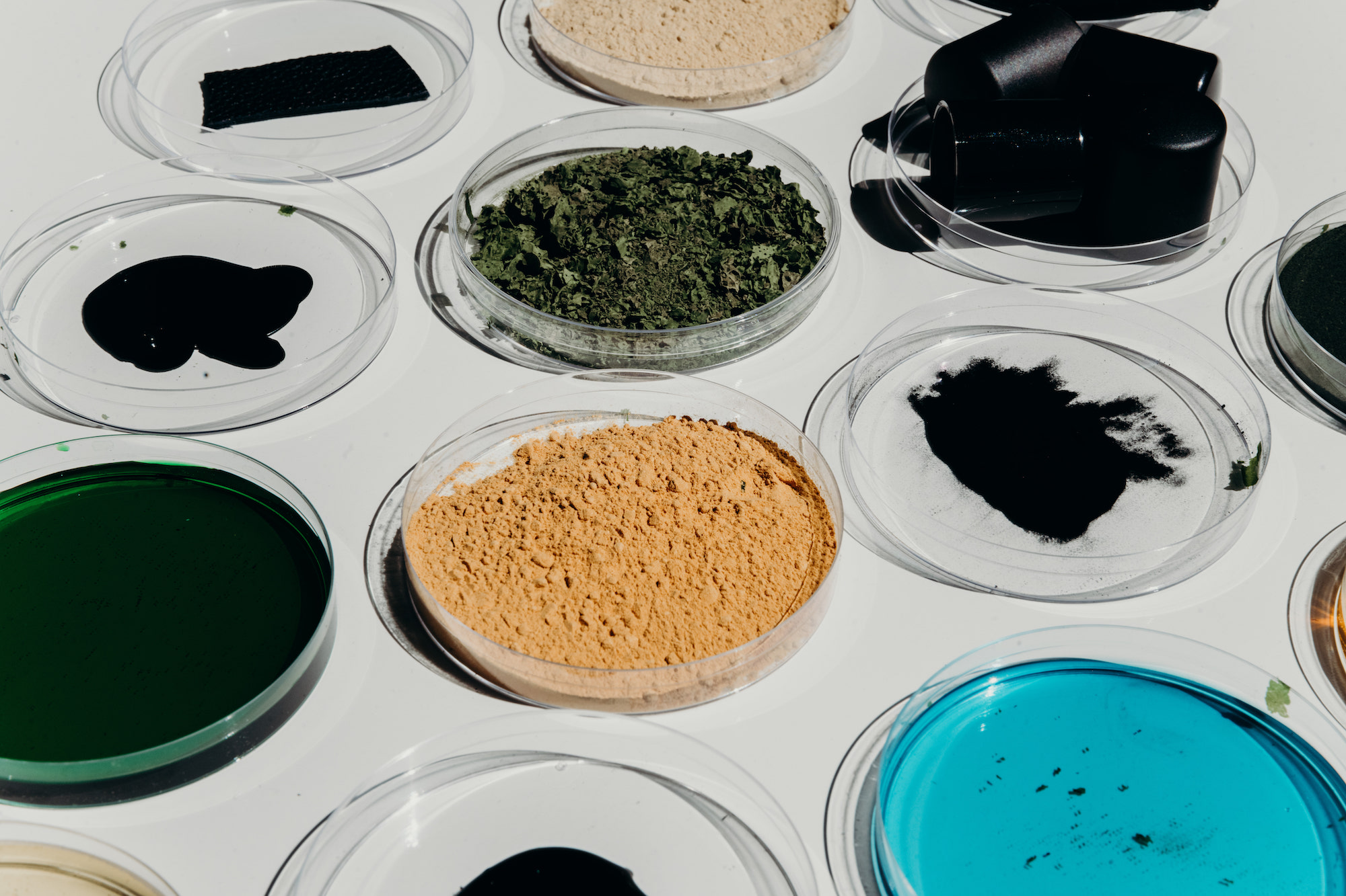 Living Ink Raises $3M to Diversify Feedstocks for Bio-Based Pigments