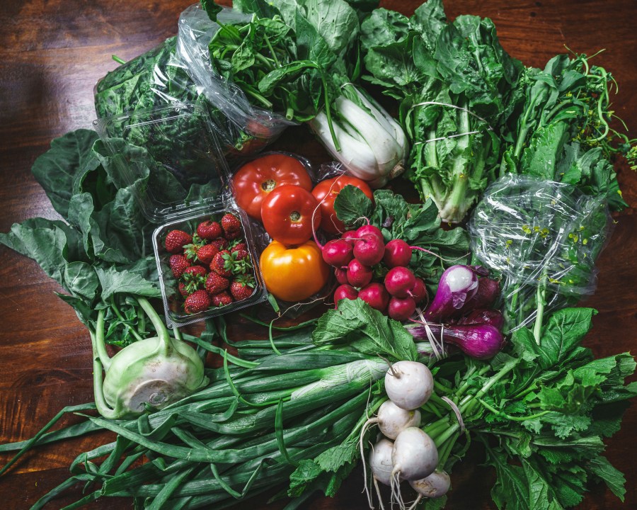 Applications open for $250K CSA grant for SNAP