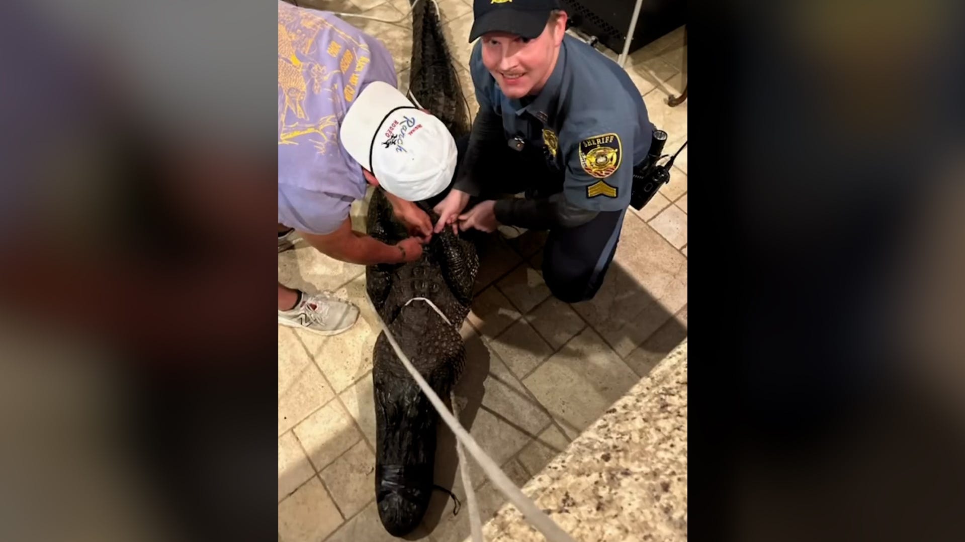 Sheriff's deputies wrangle 9-foot-gator from Louisiana home