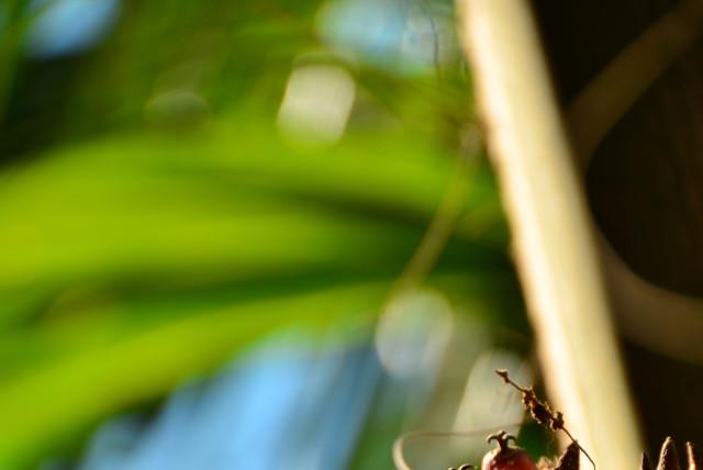 Incertidumbre jurídica, el reto mayor