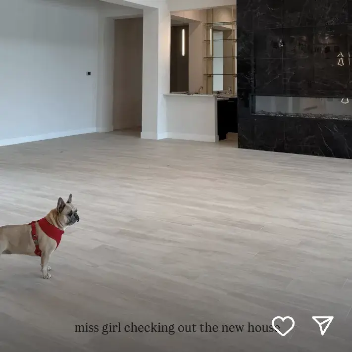 Simone Biles shows off room in $3 million mansion dedicated to her dogs