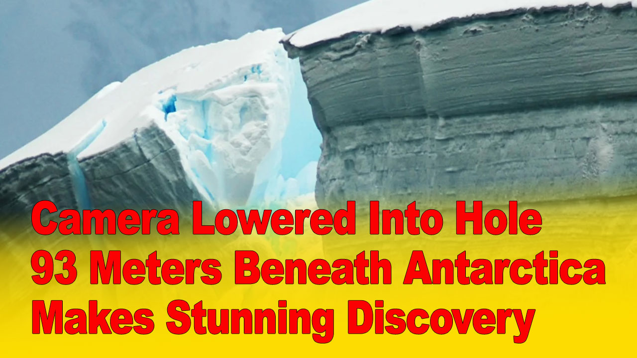 Camera Lowered Into Hole 93 Meters Beneath Antarctica Makes Stunning ...