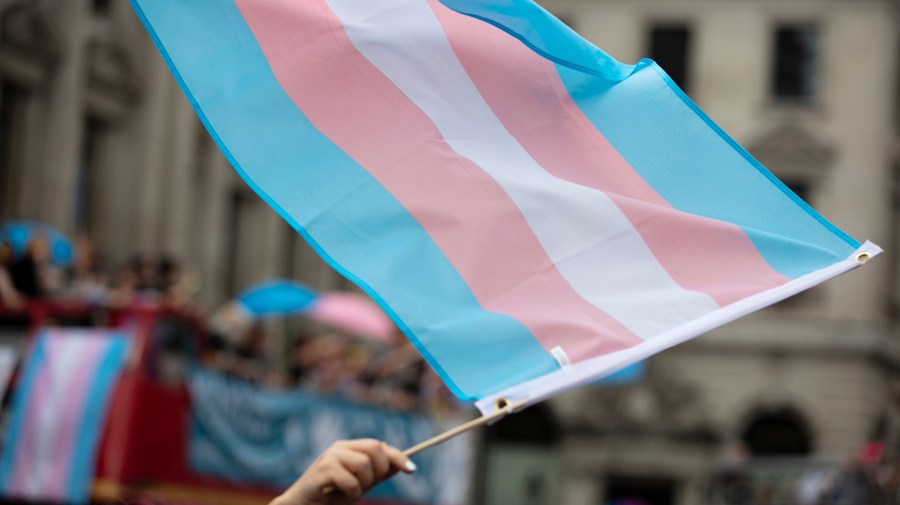 Illinois officially recognizes Transgender Day of Visibility