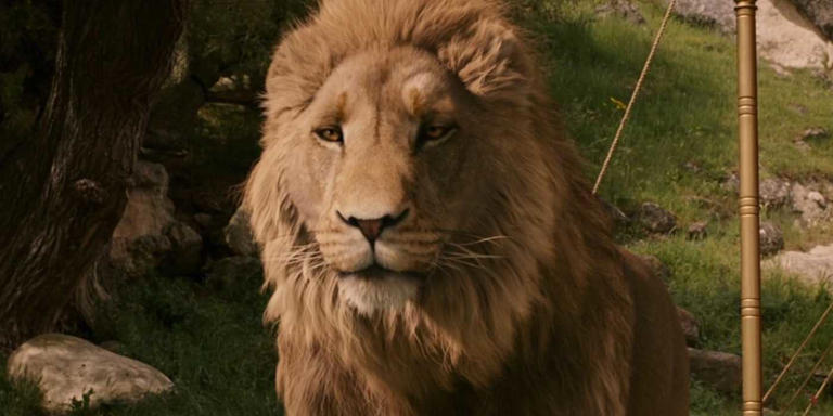 Every film buff needs to watch these new fantasy movies in 2026