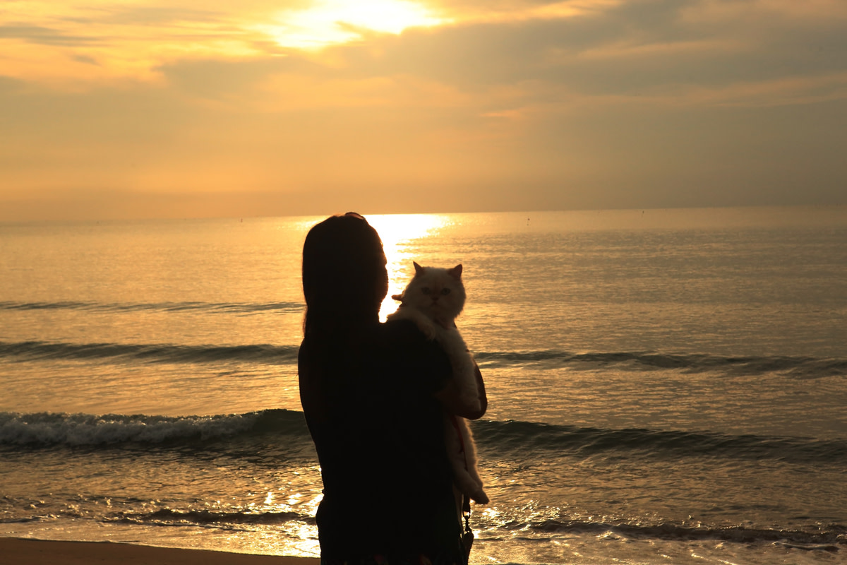 Heroic Woman's Attempt to Save Blind Cat From Drowning in River Makes ...